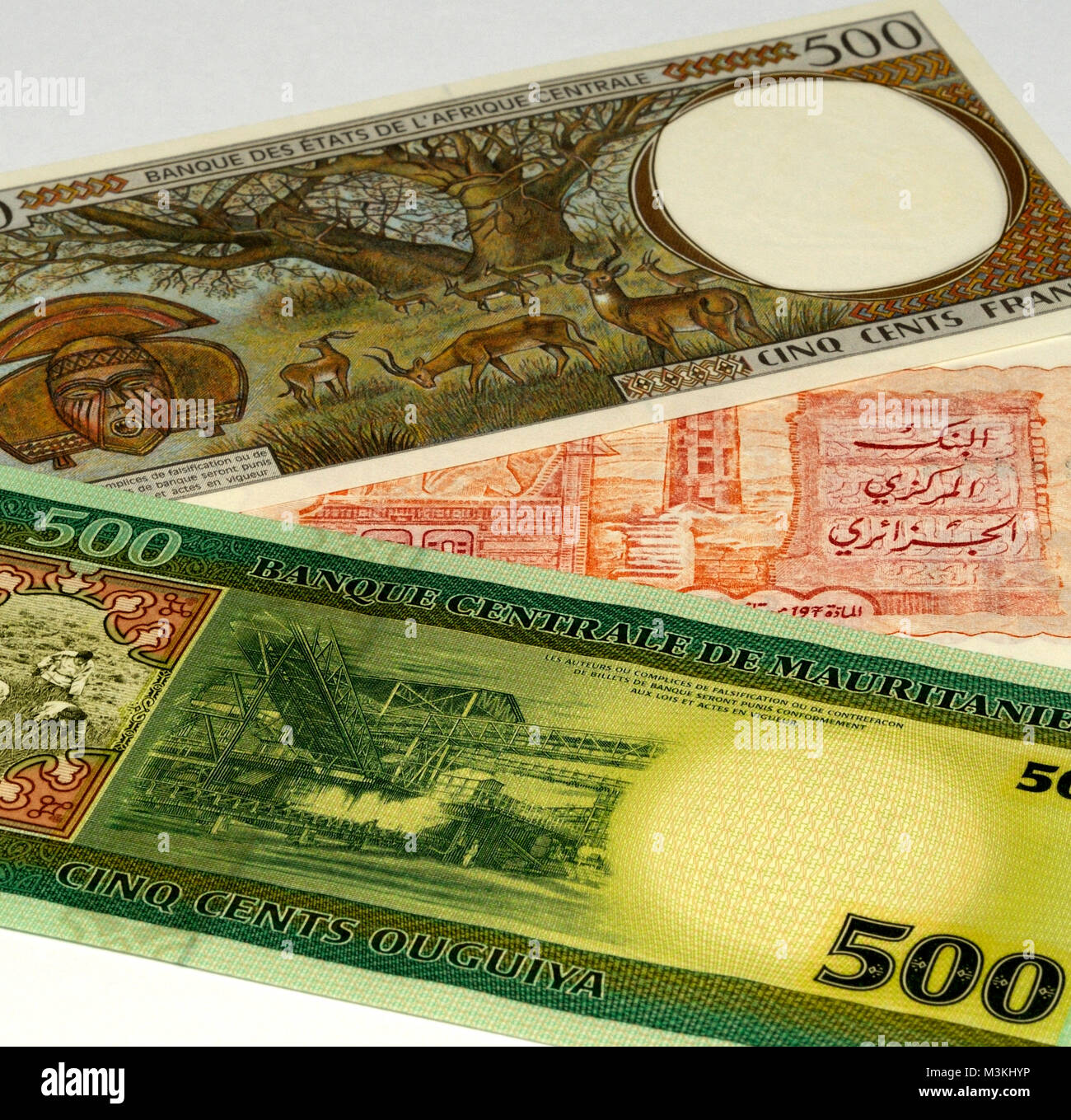 North West Africa Currency Bank Notes Stock Photo - Alamy