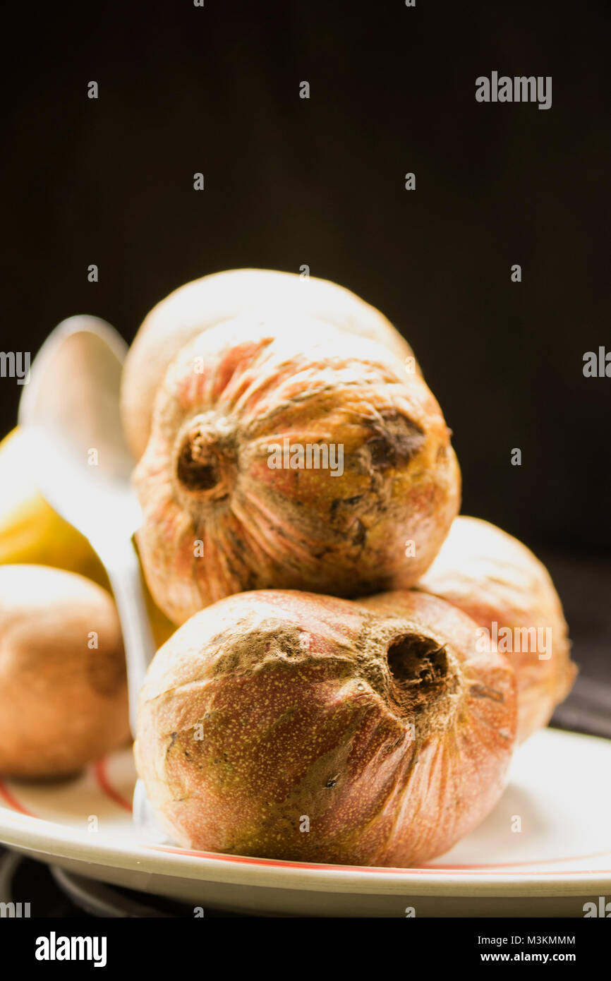 mammy fruit, Ocho Rios, Jamaica, West Indies, Caribbean Stock Photo - Alamy