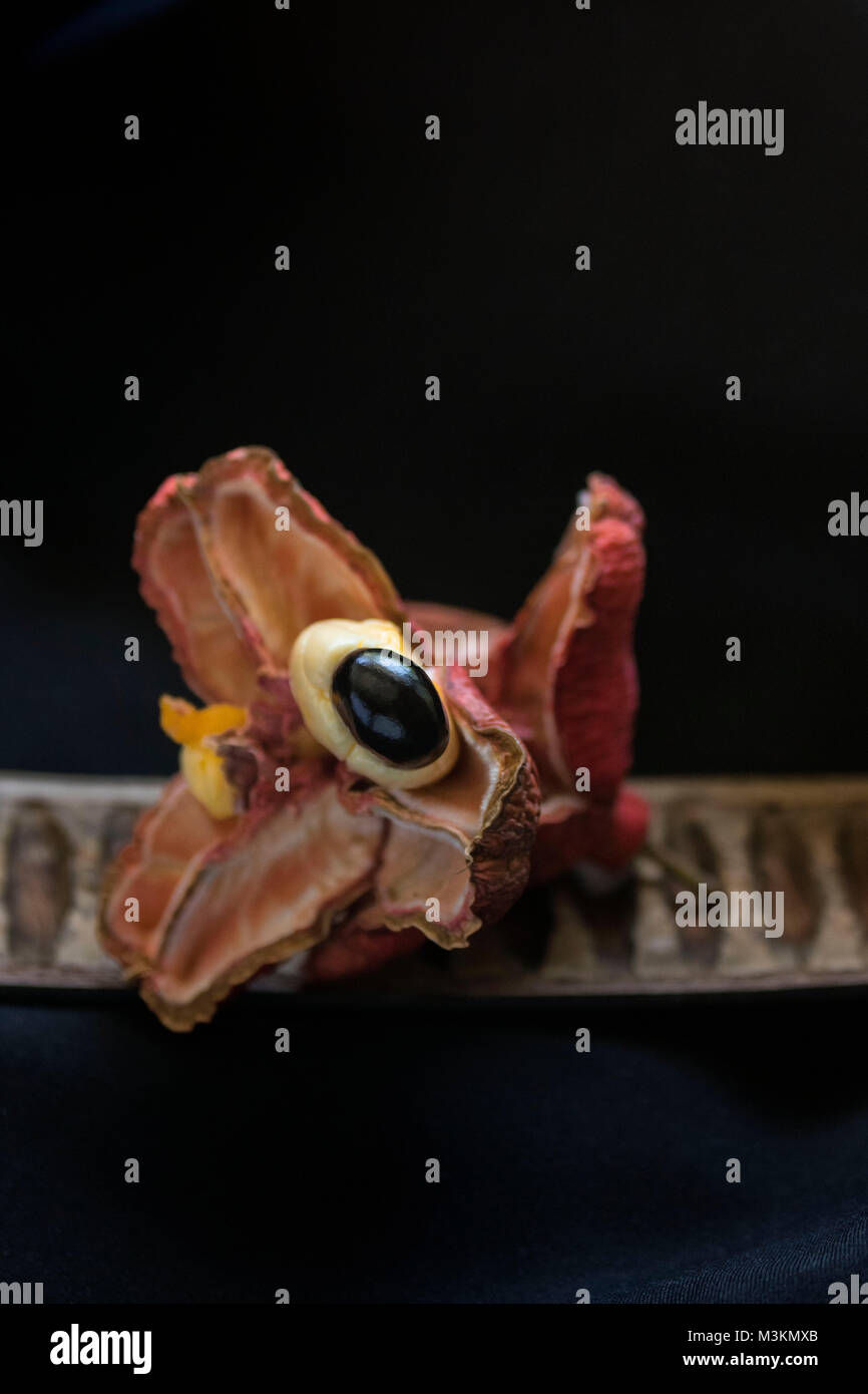 Jamaica ackee saltfish hi-res stock photography and images - Alamy