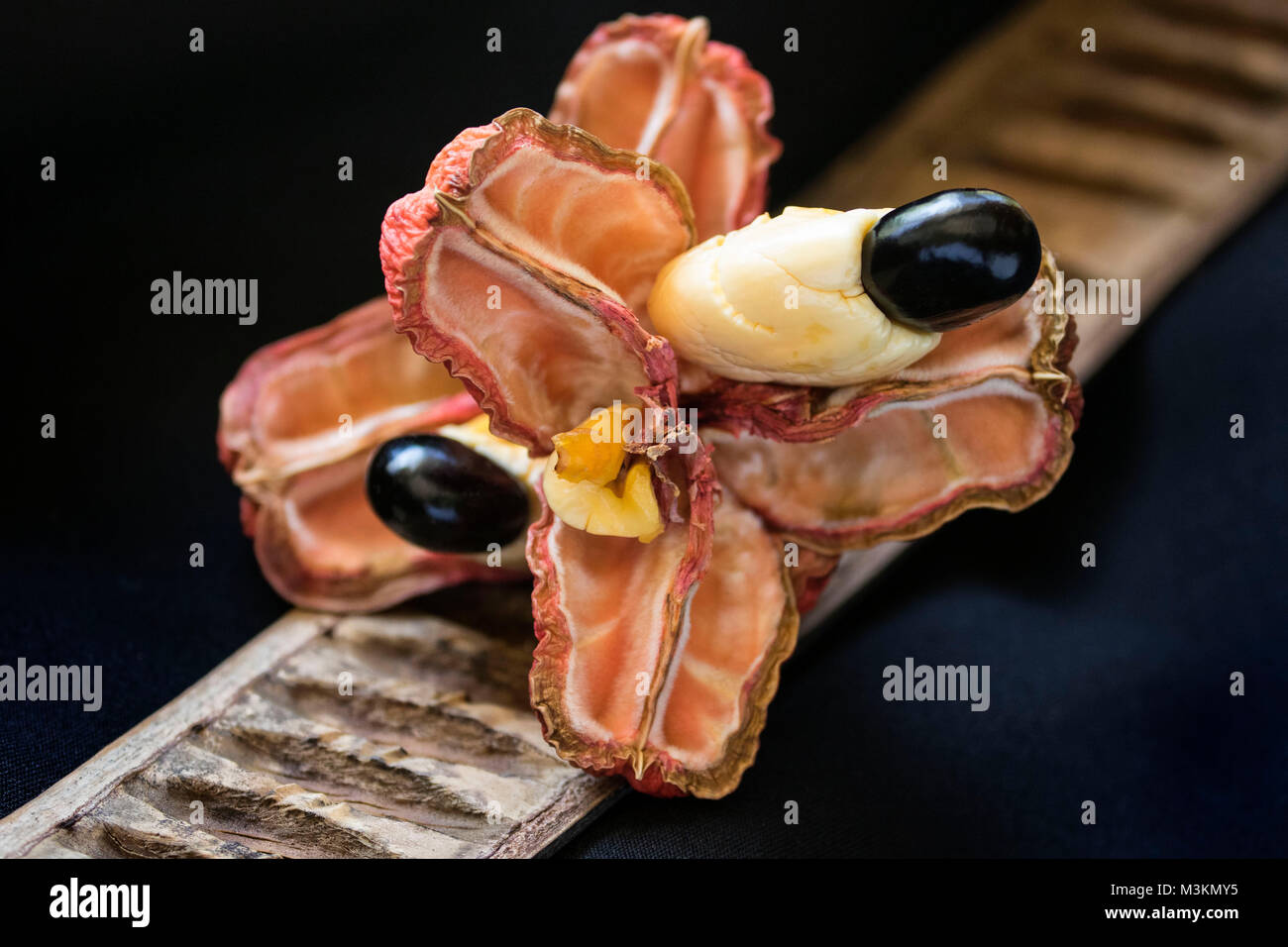 Ackee pod food still-life photograph, St. Thomas, Jamaica, West Indies ...