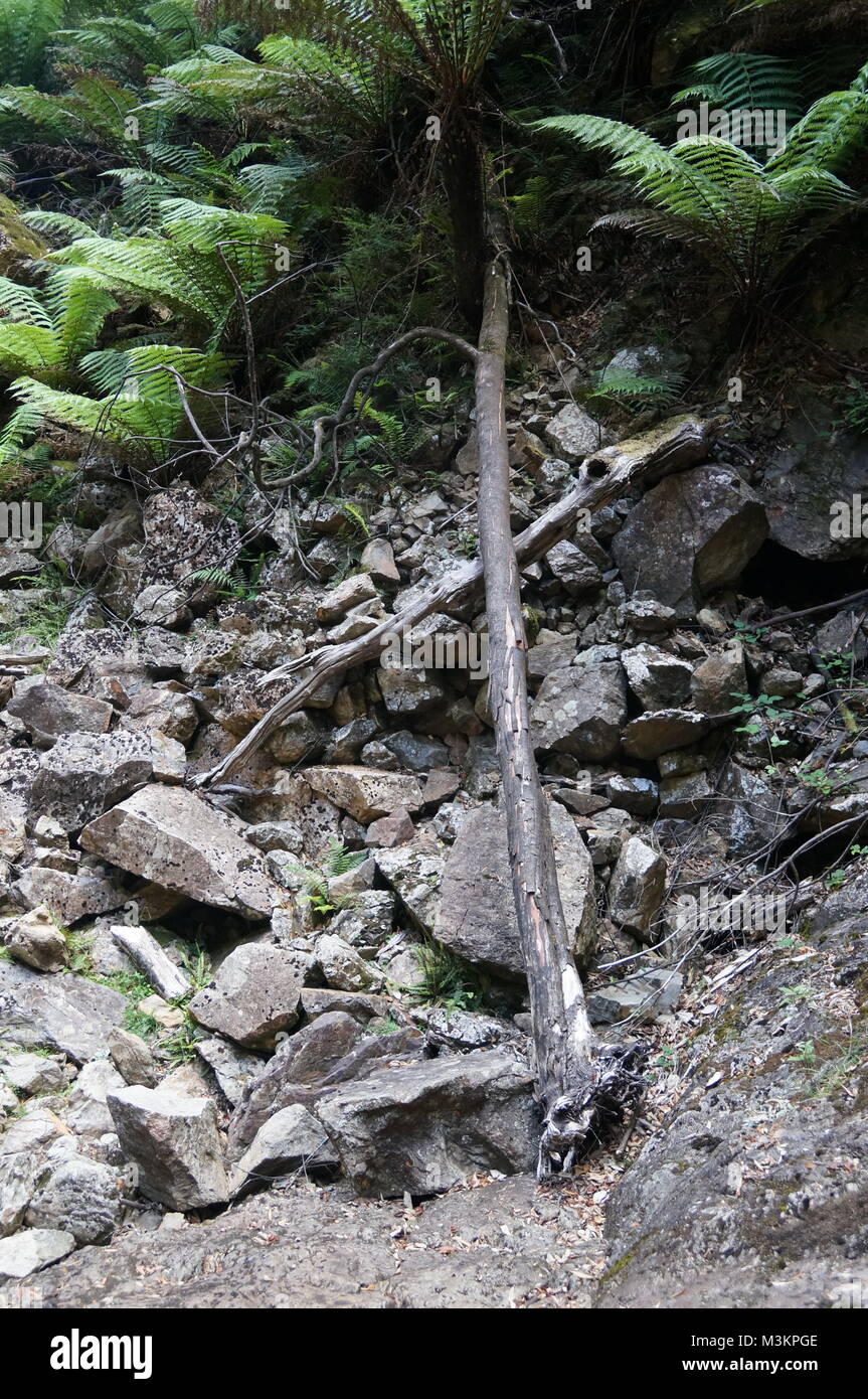 Tree cross for sailing Stock Photo - Alamy