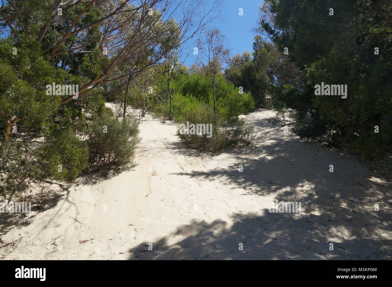 Sandpaths hi-res stock photography and images - Alamy