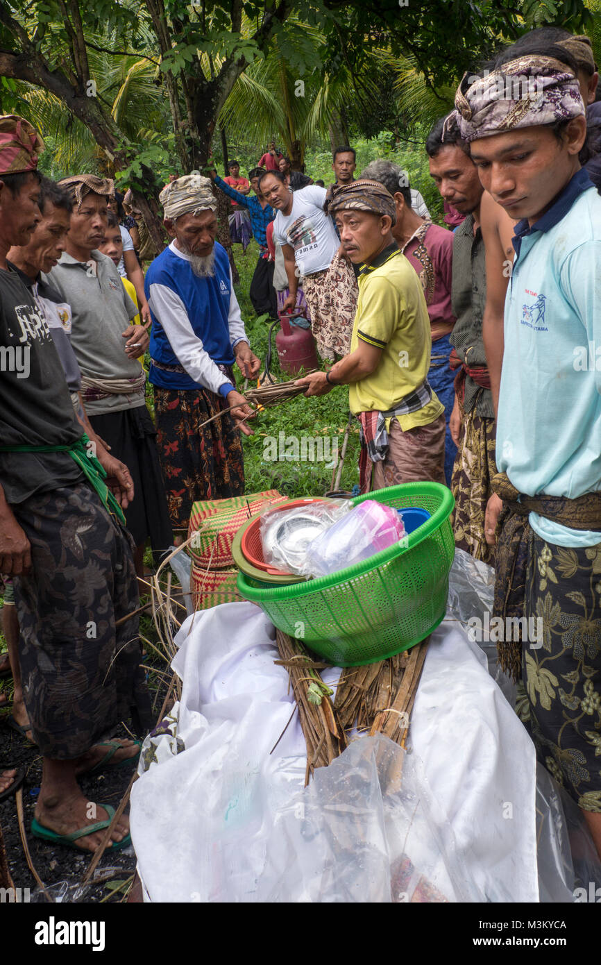 Balinese people bury their dead in a traditional cremation ceremony ...