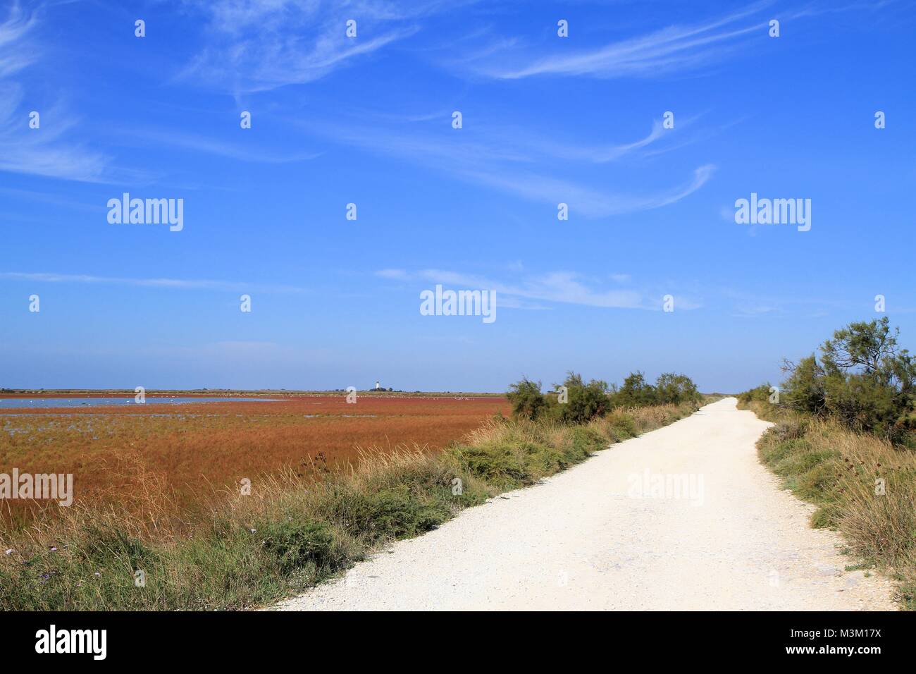 Regional natural park camargue hi-res stock photography and images - Alamy