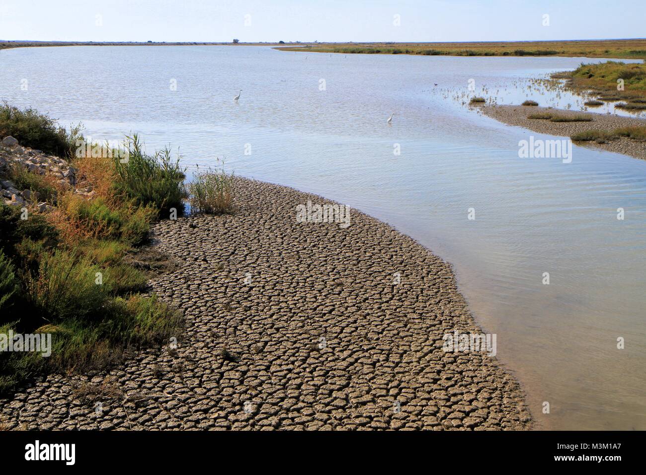 Landscape of camargue hi-res stock photography and images - Alamy