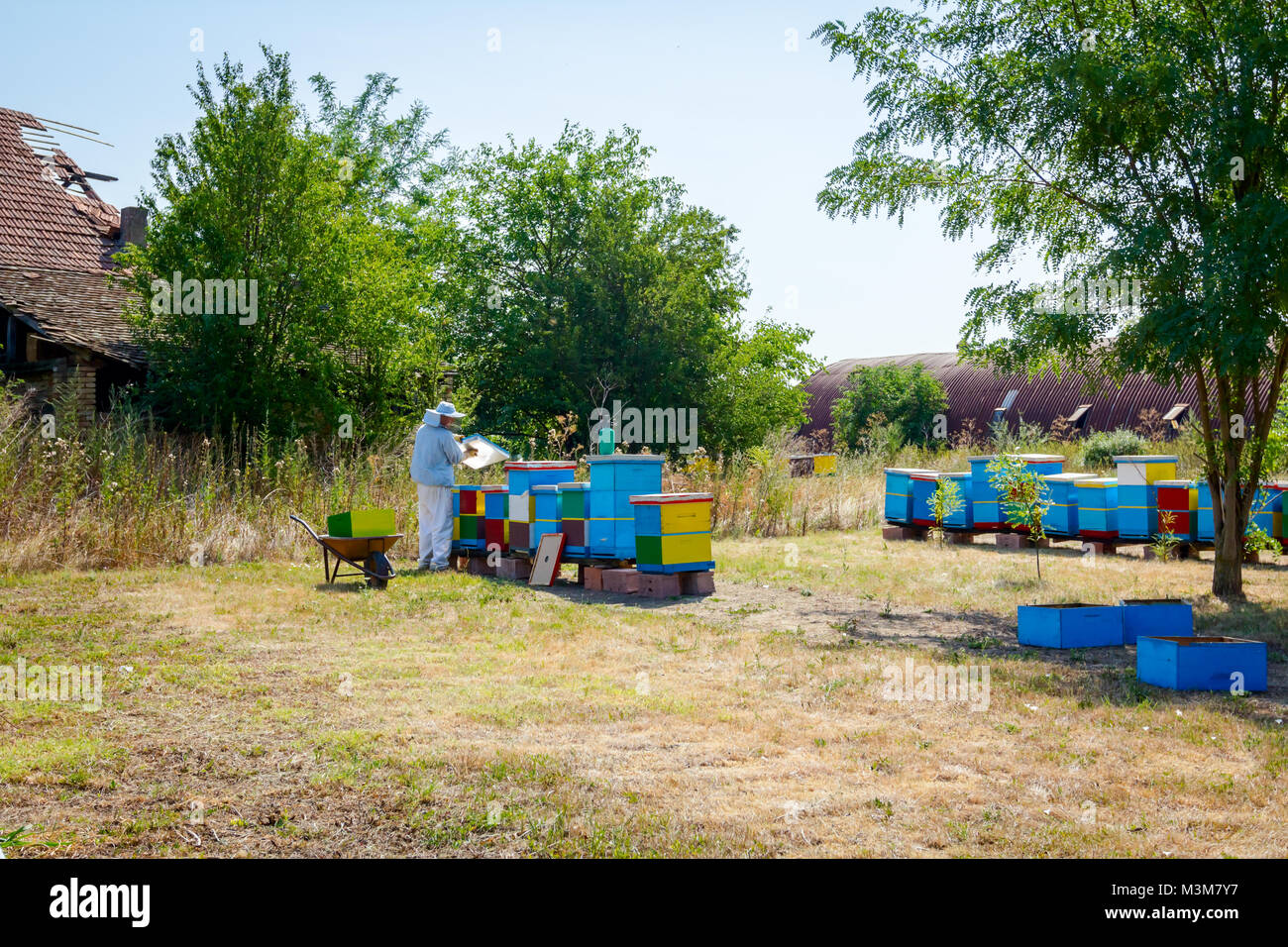 Beehive cart hi-res stock photography and images - Alamy