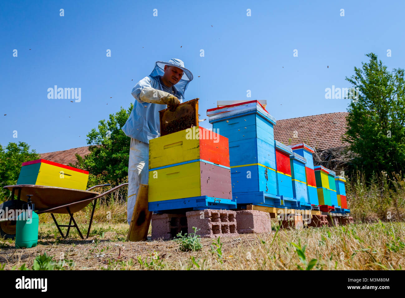 Beehive cart High Resolution Stock Photography and Images - Alamy