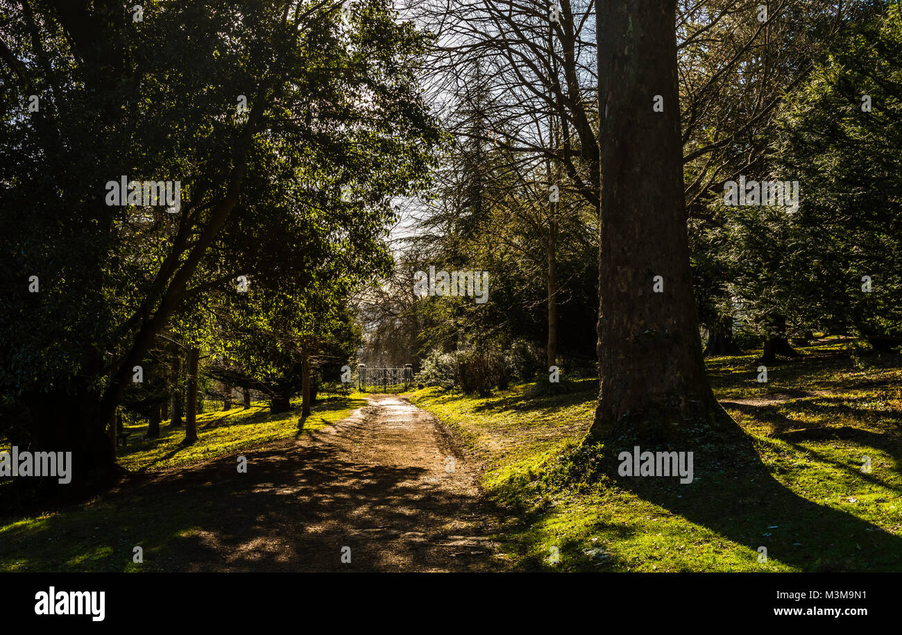 Wooded pathway hi-res stock photography and images - Alamy