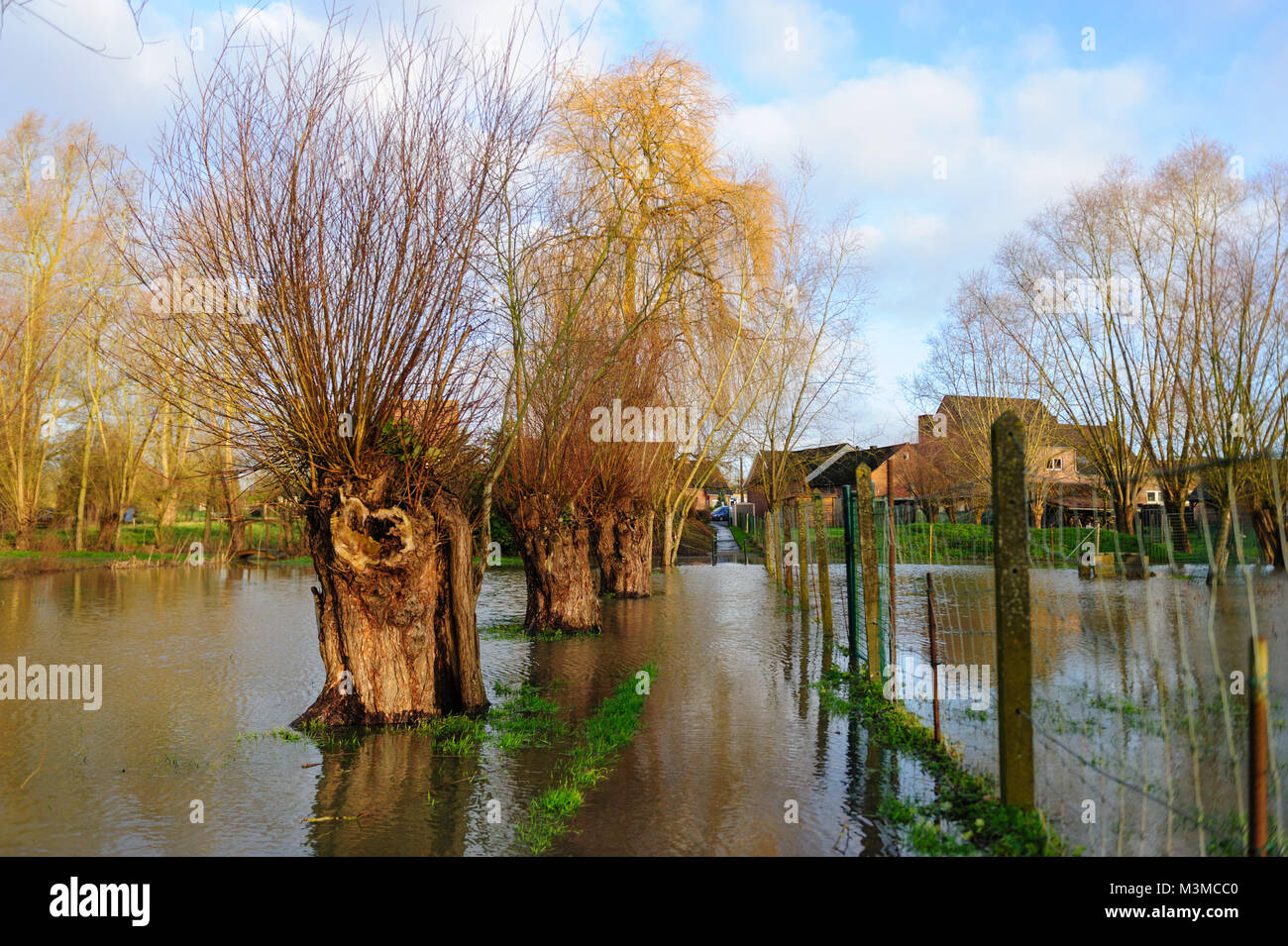 Flooding in Flanders Stock Photo - Alamy