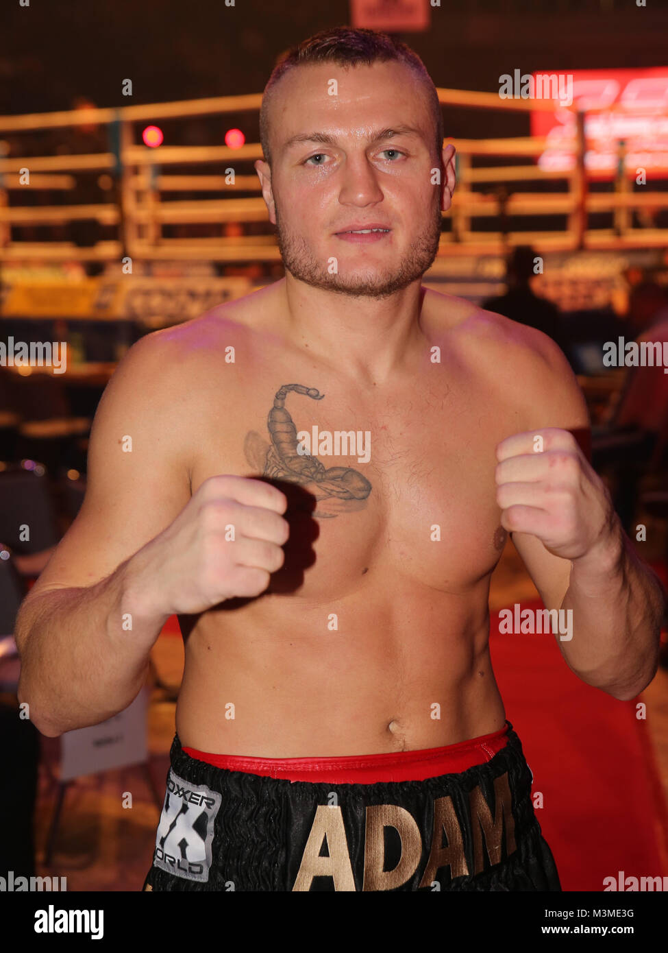 Profiboxer hi-res stock photography and images - Alamy