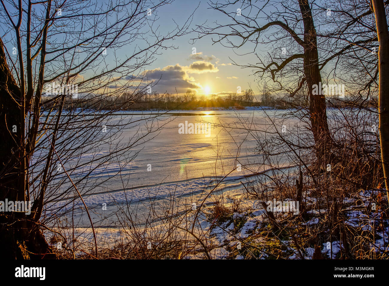 colorful winter sunset with light rays coming through the trees on the ...