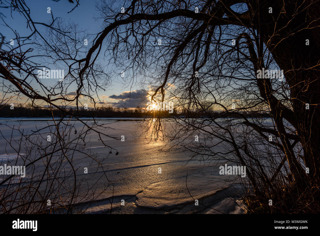 colorful winter sunset with light rays coming through the trees on the ...