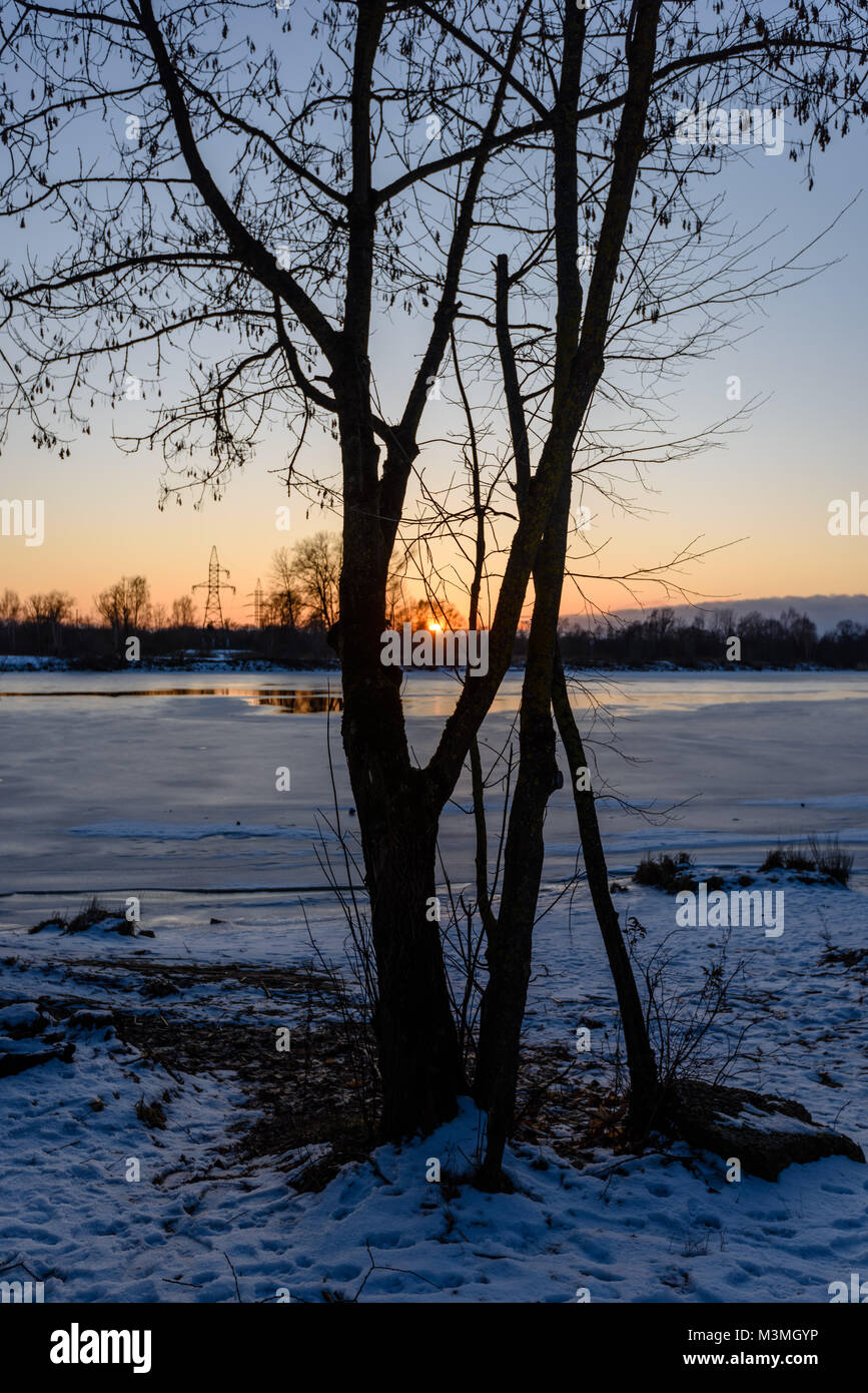 colorful winter sunset with light rays coming through the trees on the ...