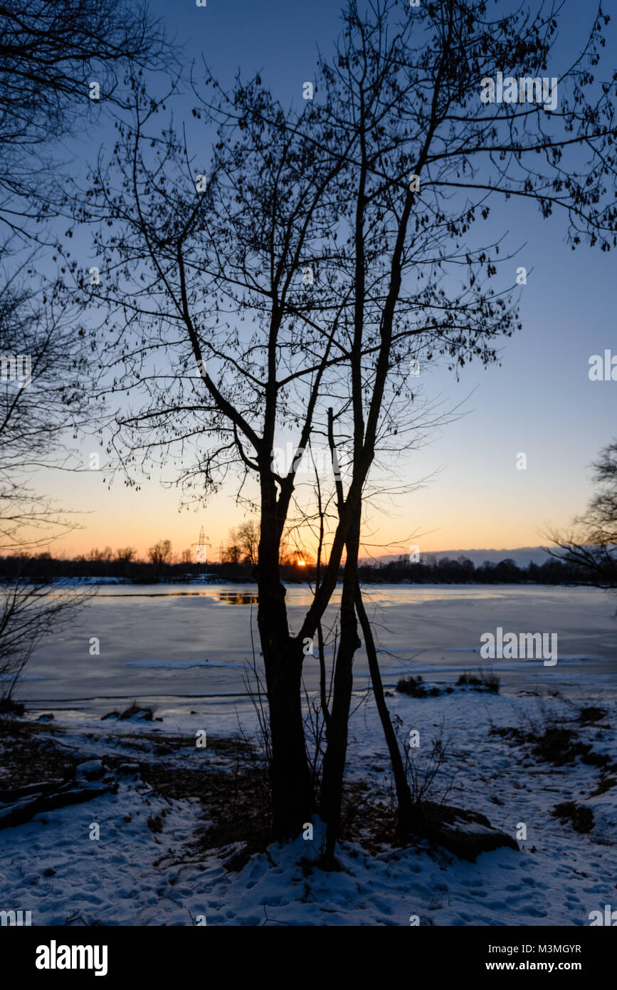 colorful winter sunset with light rays coming through the trees on the ...