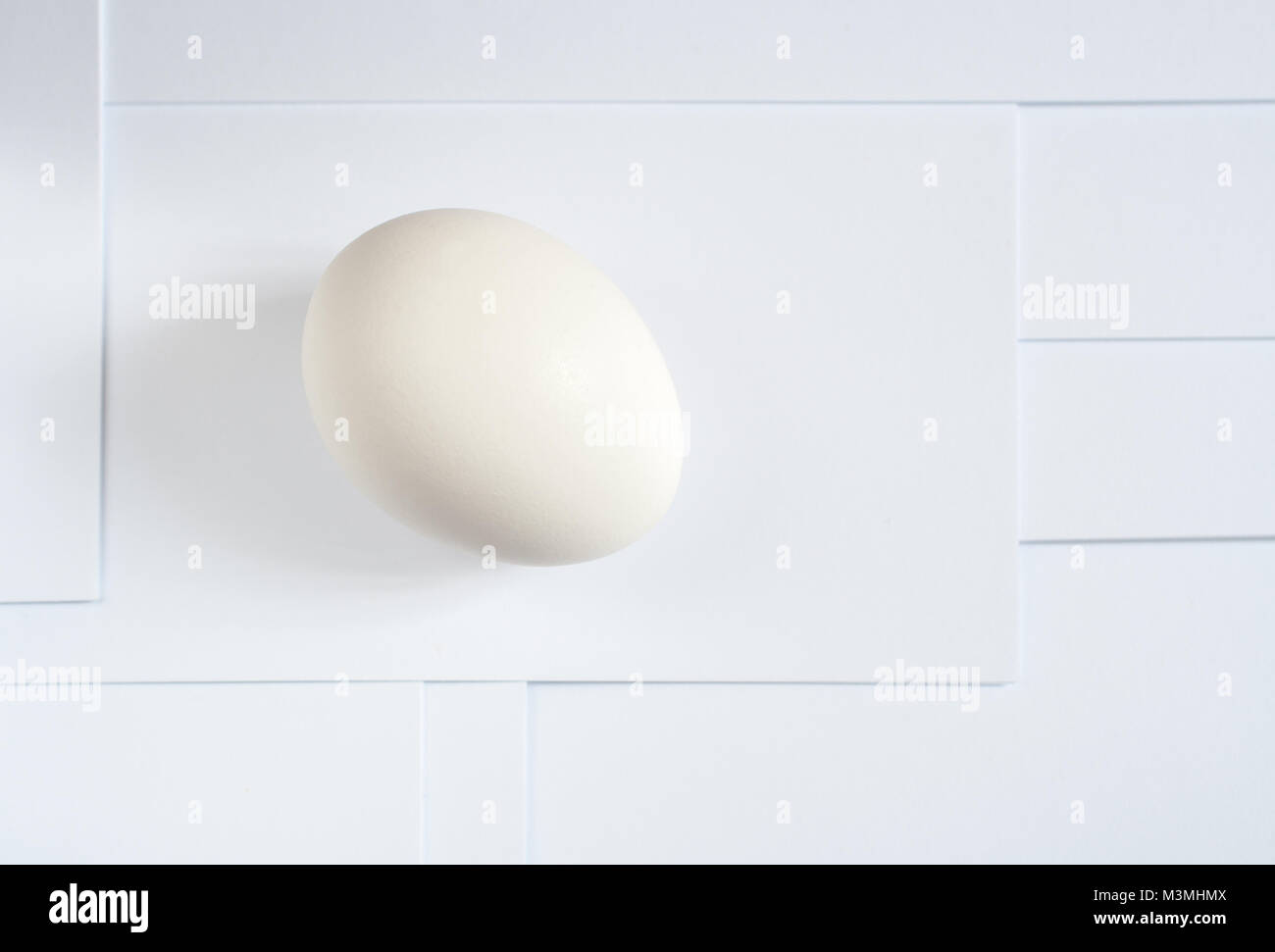 Minimalistic monochrome photo of white egg on white background in light ...