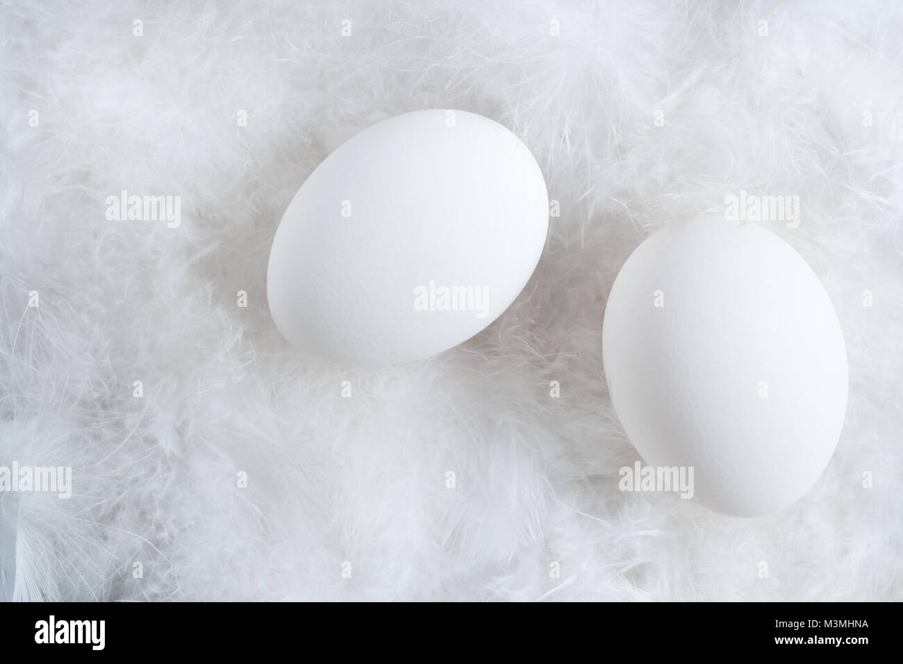 Two white egg are lying on fluffy white feathers. Monochrome photo in light key Stock Photo - Alamy