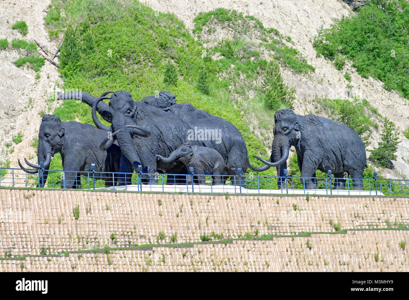Pleistocene park russia hi-res stock photography and images - Alamy