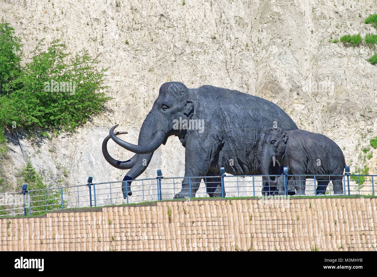 Woolly mammoths hi-res stock photography and images - Alamy