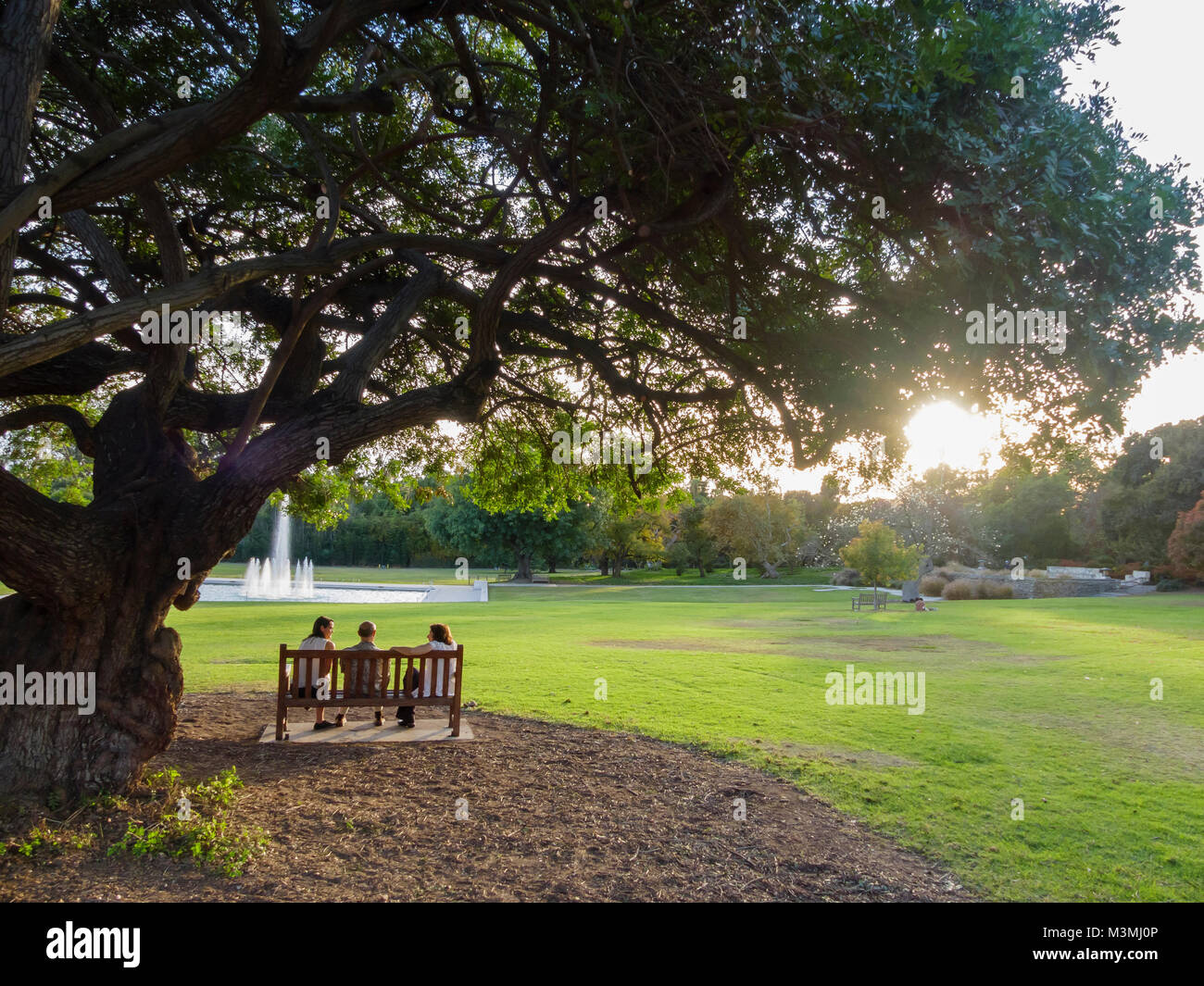 Nature pathway on a sunny day at Los Angeles County Arboretum & Botanic ...