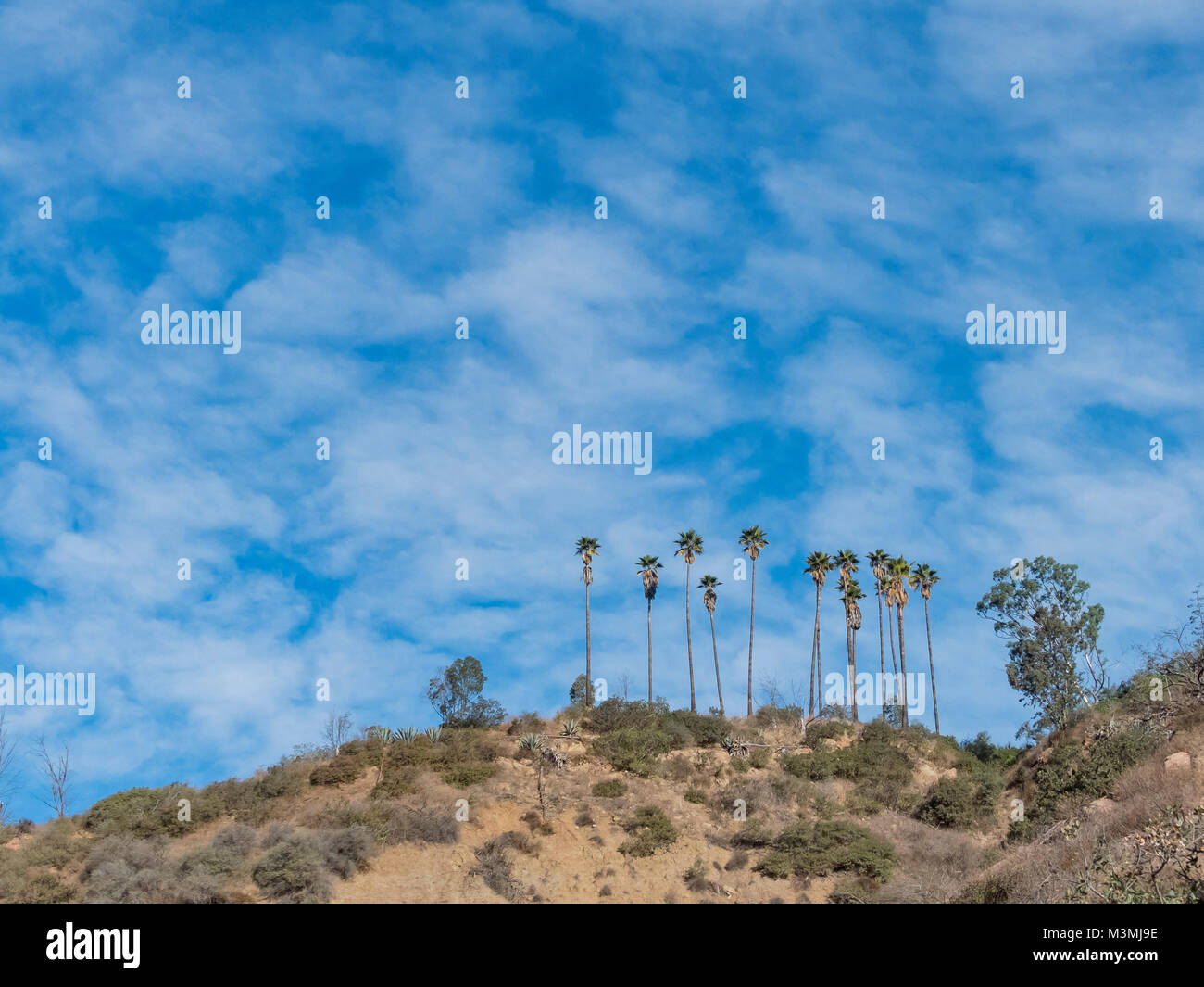 Hiking trail around San Gabriel Mountain at Los Angeles Stock Photo - Alamy