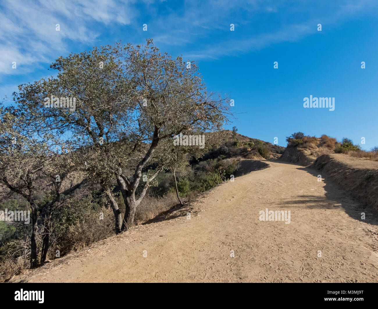 Hiking trail around San Gabriel Mountain at Los Angeles Stock Photo - Alamy