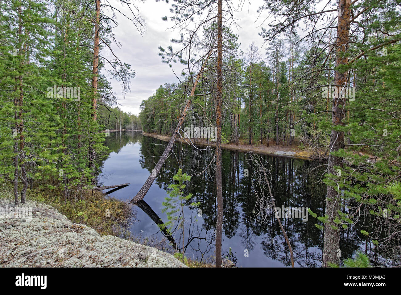 The taiga river Yeguryah in Western Siberia, Yugra. Flood in pristine ...