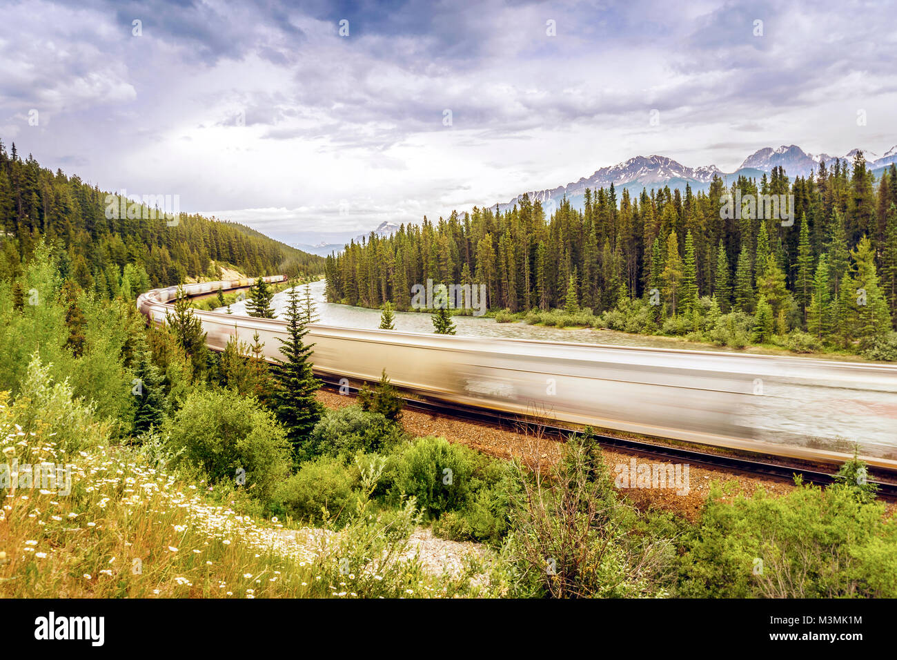 Train passing by beautiful Banff National Park, Alberta, Canada Stock ...