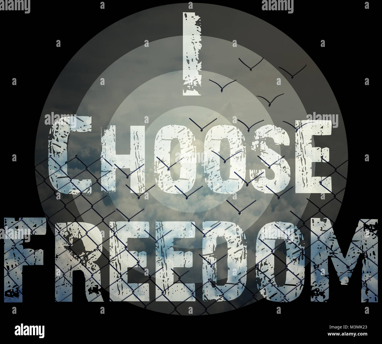 I choose freedom, inspirational text over wire mesh background ...