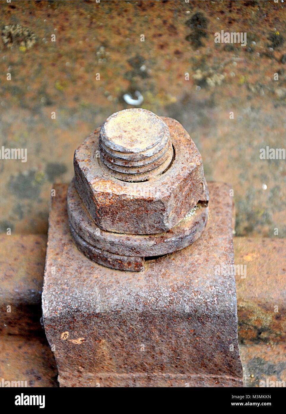 detail view, old rusty screw Stock Photo - Alamy