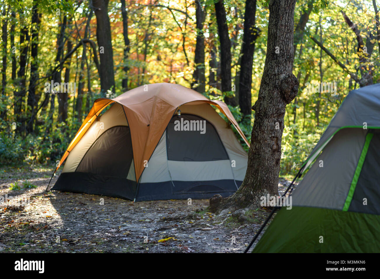 fall camping with two tents on campsite in early morning light Stock ...