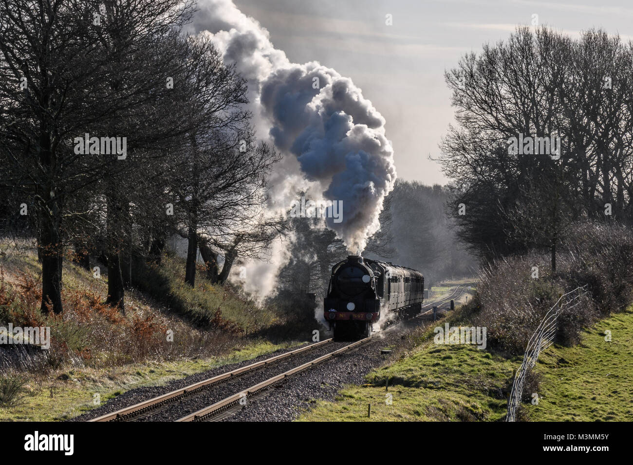 Lineside Photograph on the Bluebell Railway Stock Photo - Alamy