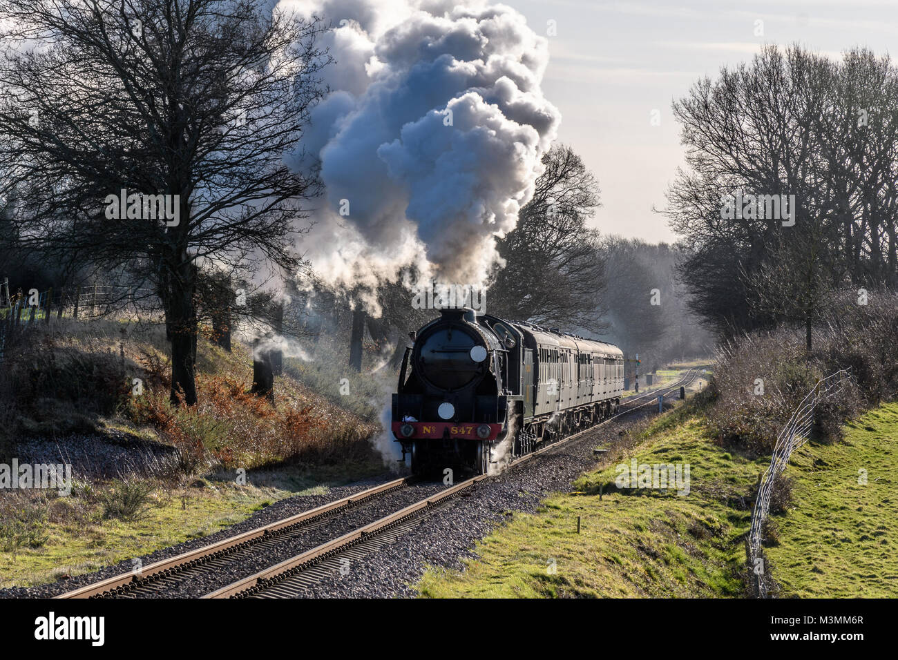 Lineside Photograph on the Bluebell Railway Stock Photo - Alamy