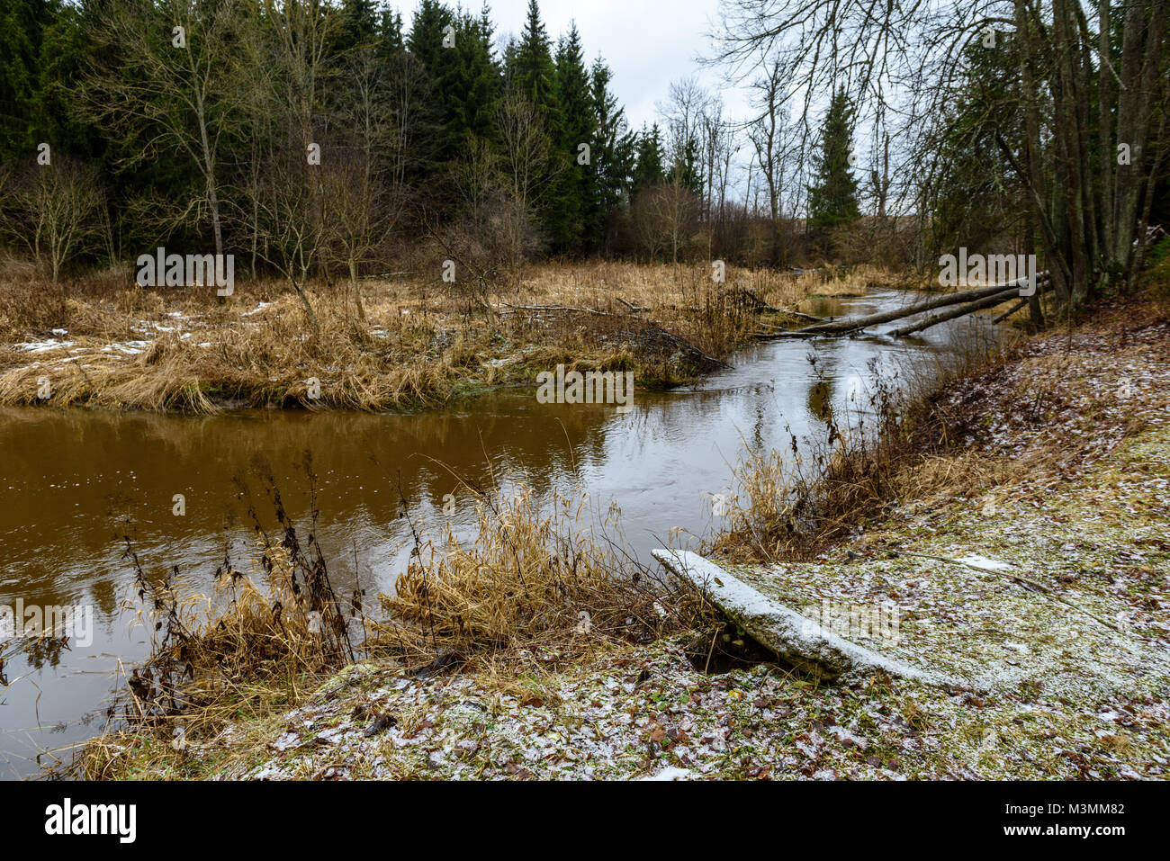frozen country side by the forest covered with snow Stock Photo - Alamy