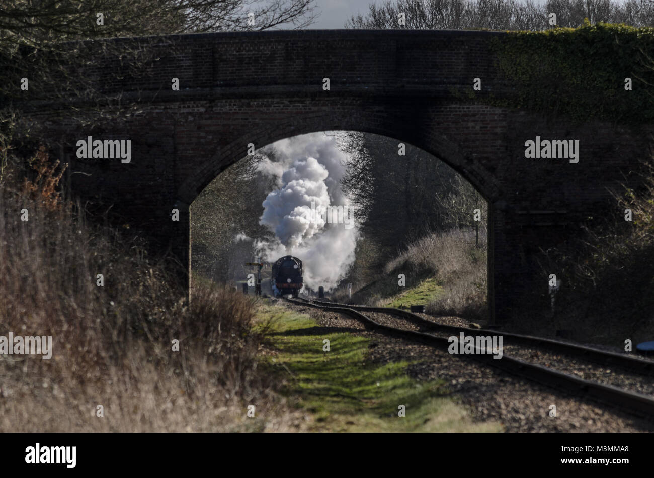 Lineside Photograph on the Bluebell Railway Stock Photo - Alamy