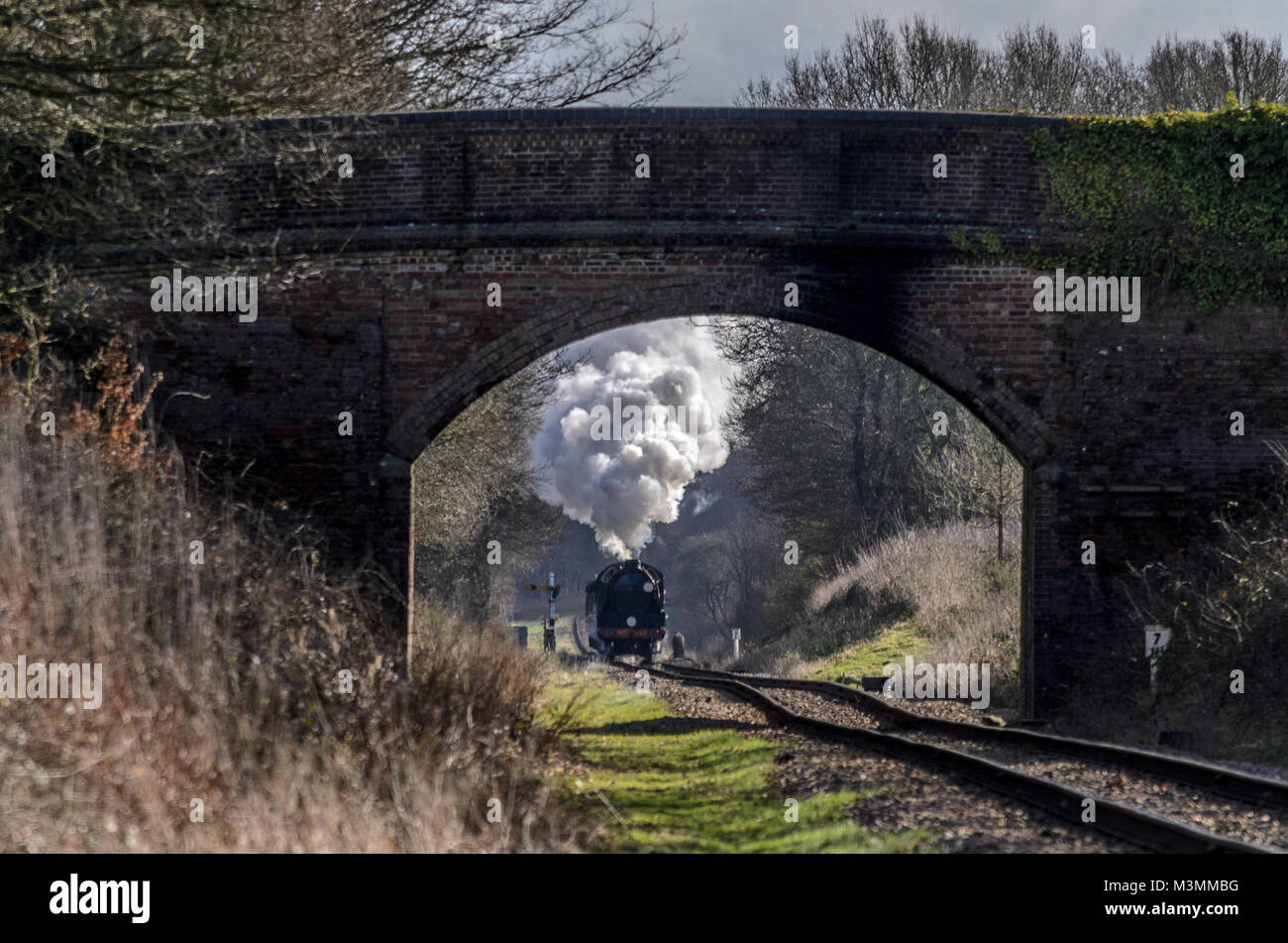 Lineside Photograph on the Bluebell Railway Stock Photo - Alamy