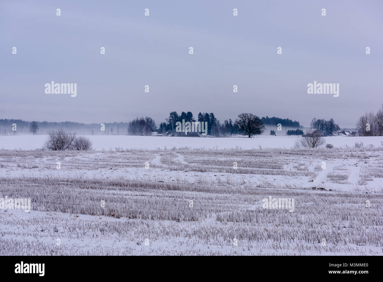 frozen country side by the forest covered with snow Stock Photo - Alamy