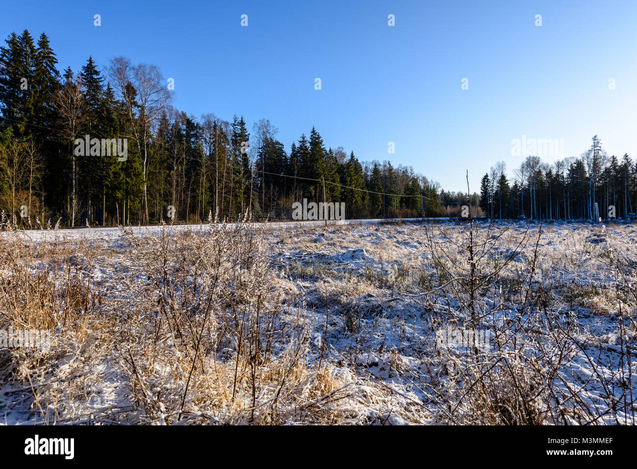frozen country side by the forest covered with snow Stock Photo - Alamy