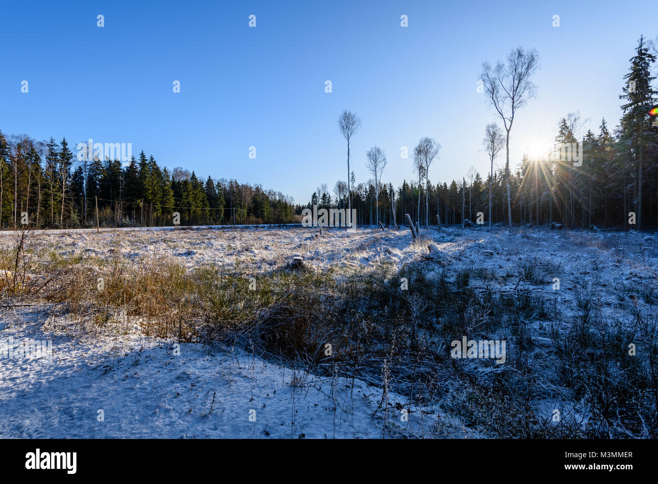 frozen country side by the forest covered with snow Stock Photo - Alamy