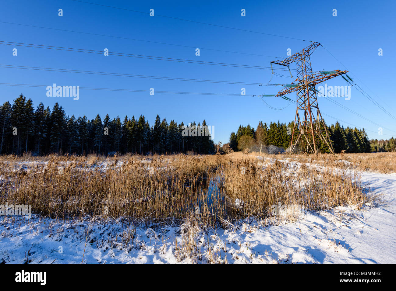frozen country side by the forest with power lines and blue sky Stock ...