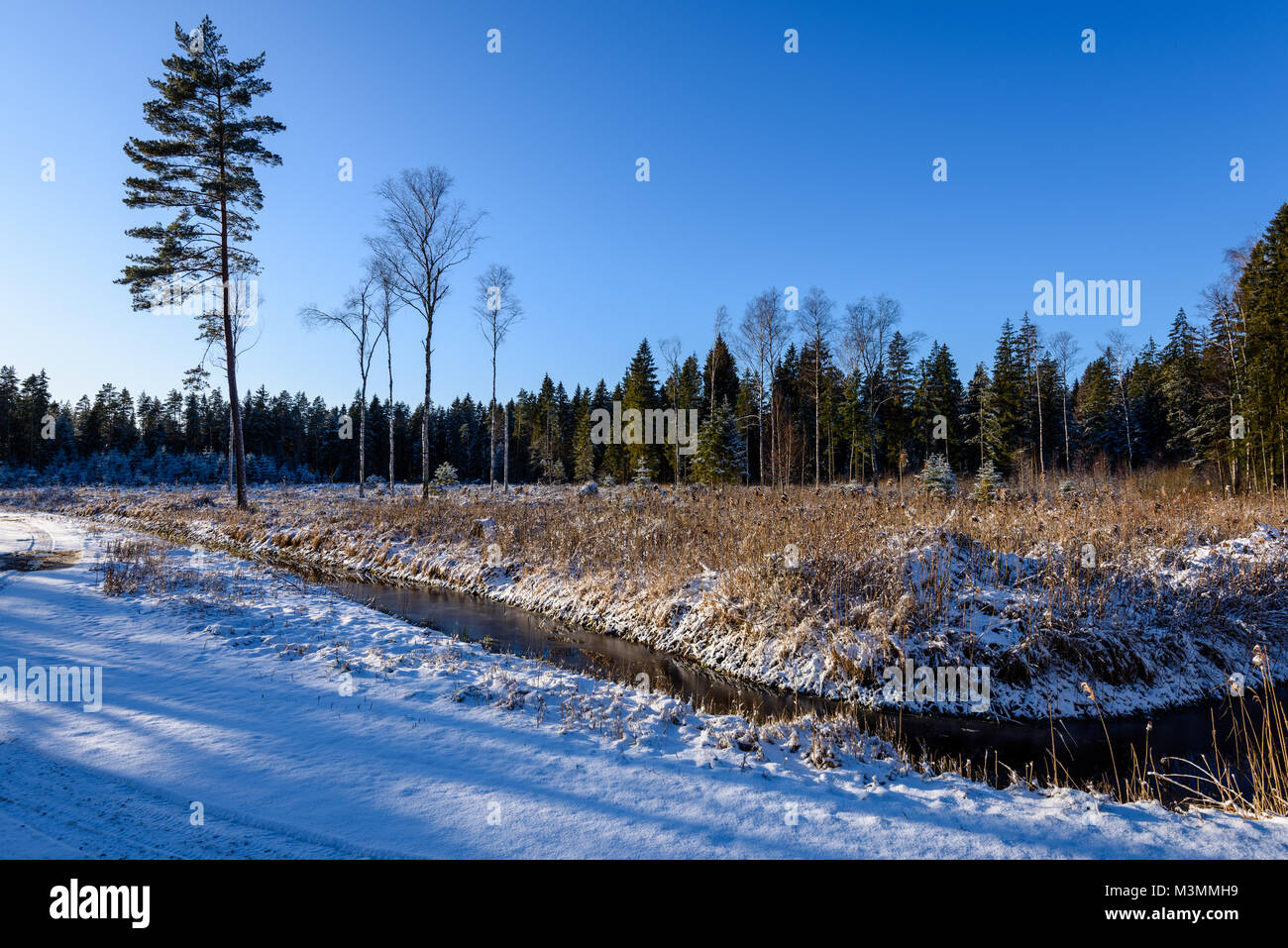 frozen country side by the forest covered with snow Stock Photo - Alamy