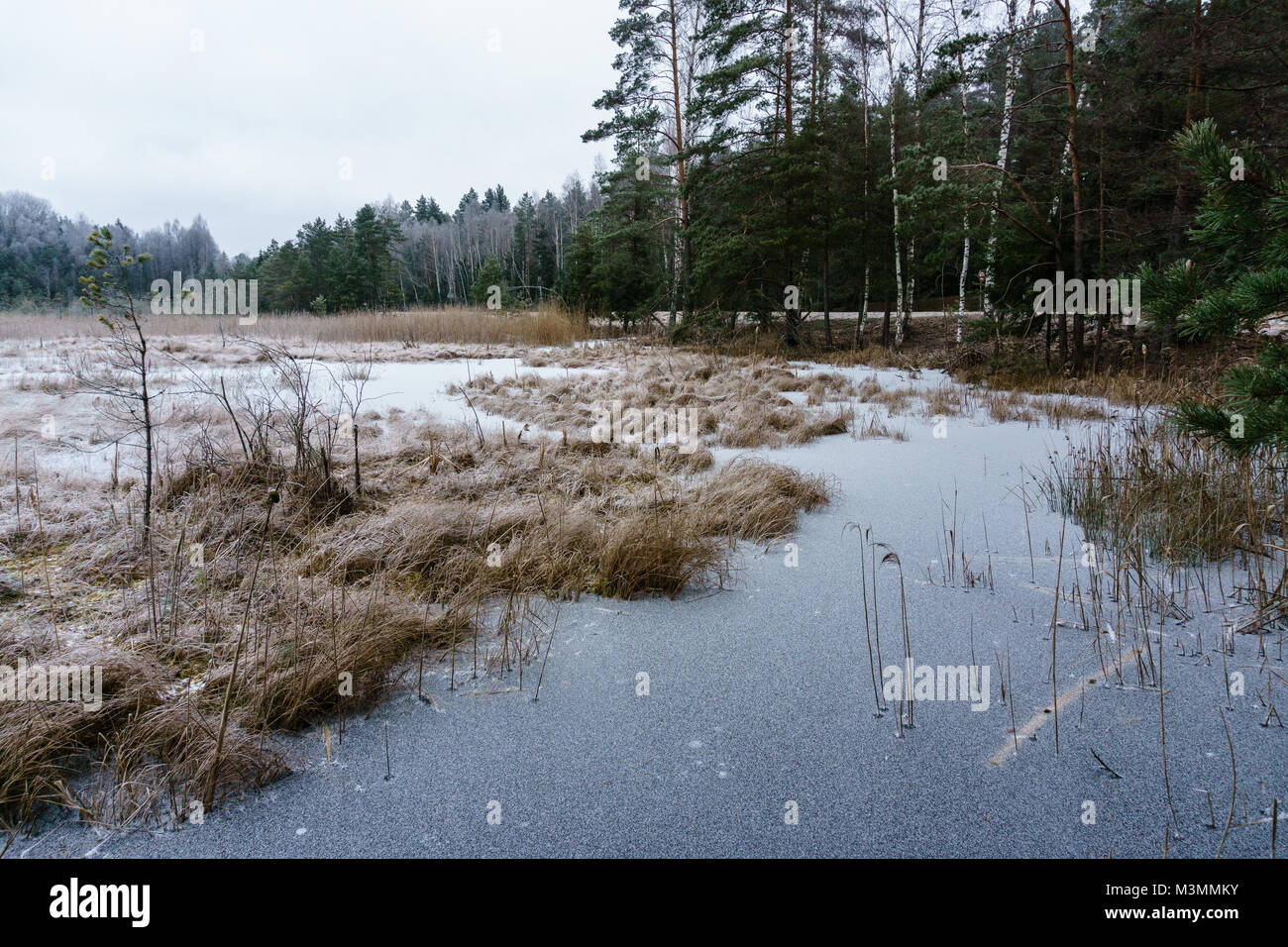 frozen country side by the forest covered with snow Stock Photo - Alamy