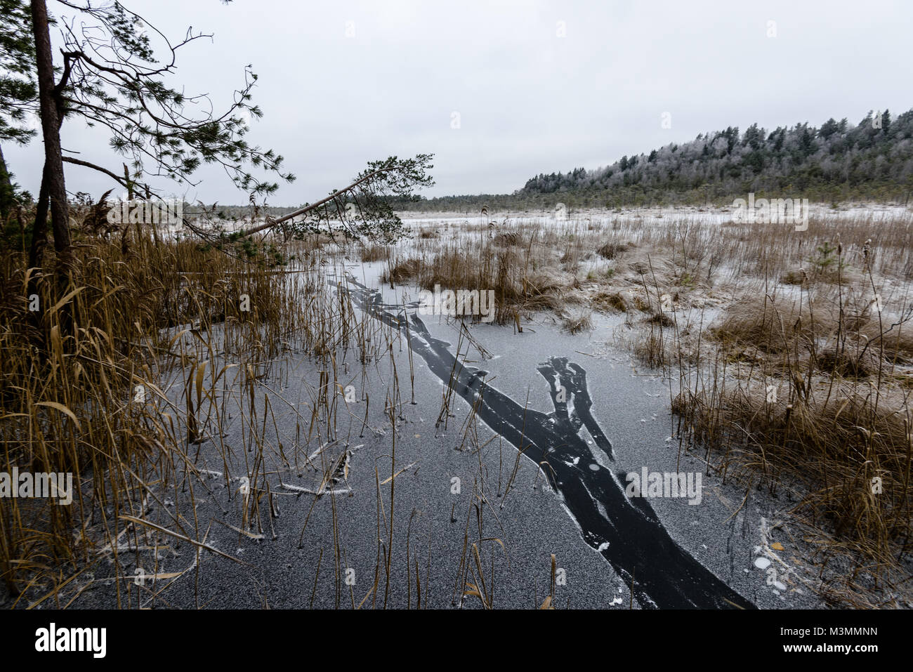 frozen country side by the forest covered with snow Stock Photo - Alamy