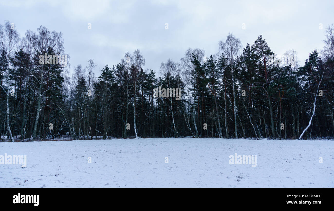 frozen country side by the forest covered with snow Stock Photo - Alamy
