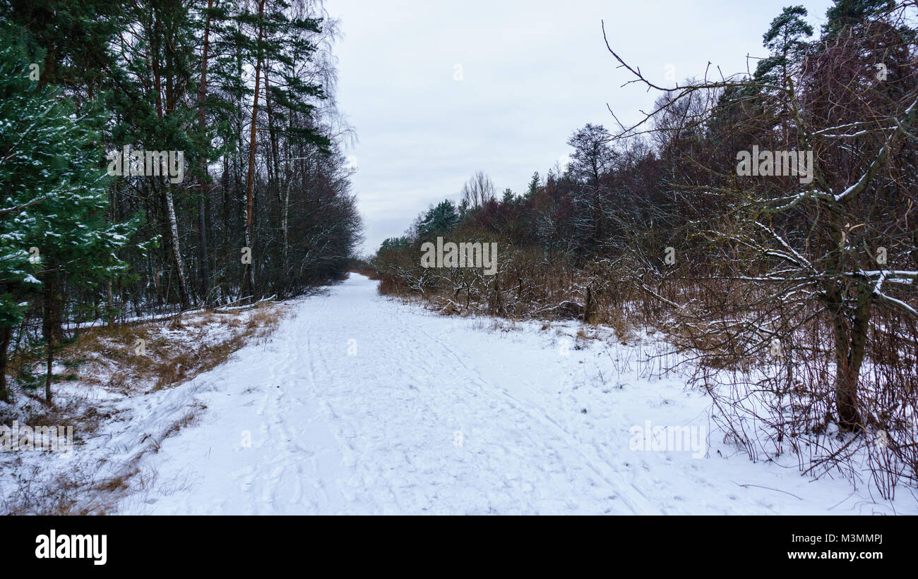 frozen country side by the sea covered with snow Stock Photo - Alamy