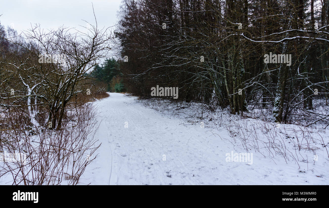 frozen country side by the sea covered with snow Stock Photo - Alamy