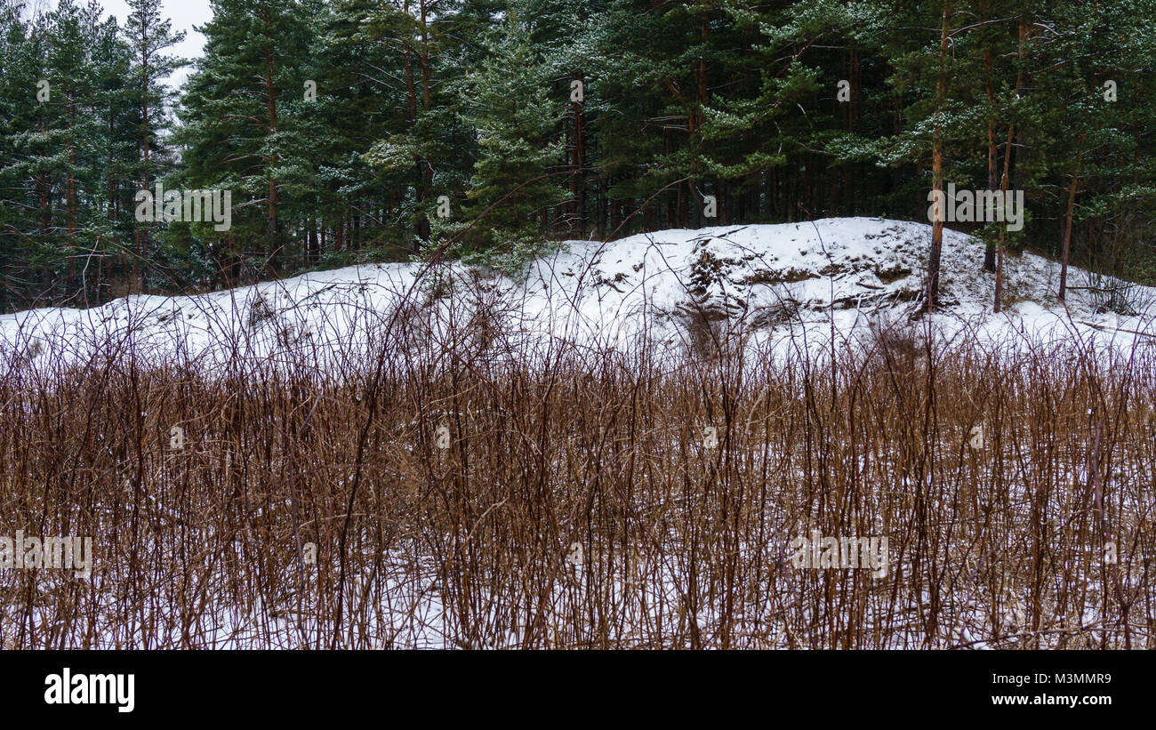 frozen country side by the sea covered with snow Stock Photo - Alamy