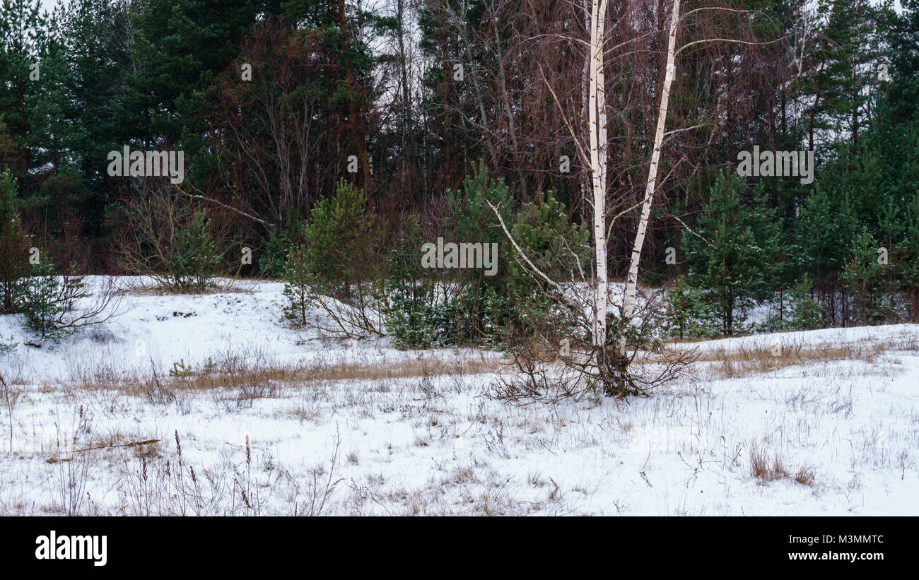 frozen country side by the sea covered with snow Stock Photo - Alamy