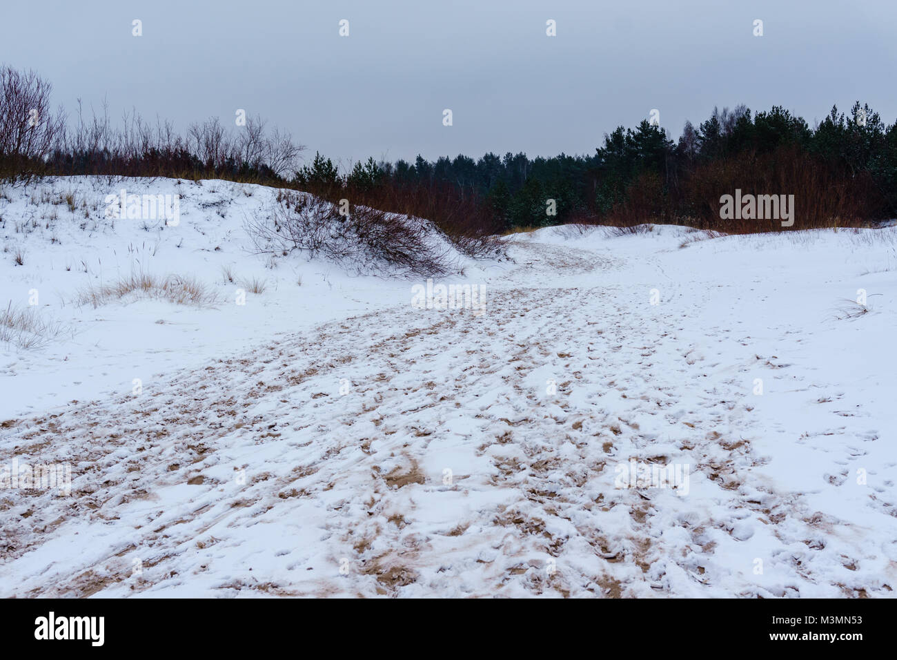 frozen country side by the sea covered with snow Stock Photo - Alamy