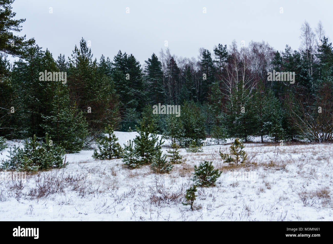frozen country side by the sea covered with snow Stock Photo - Alamy