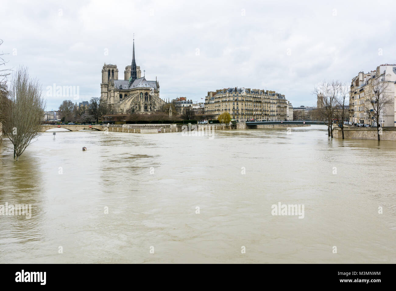 Eastern view of Notre-Dame cathedral and the Cite island in Paris ...